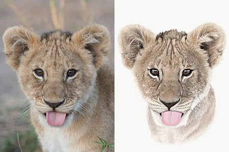 Art Commissions: How to take a good reference photo – Art by Toor