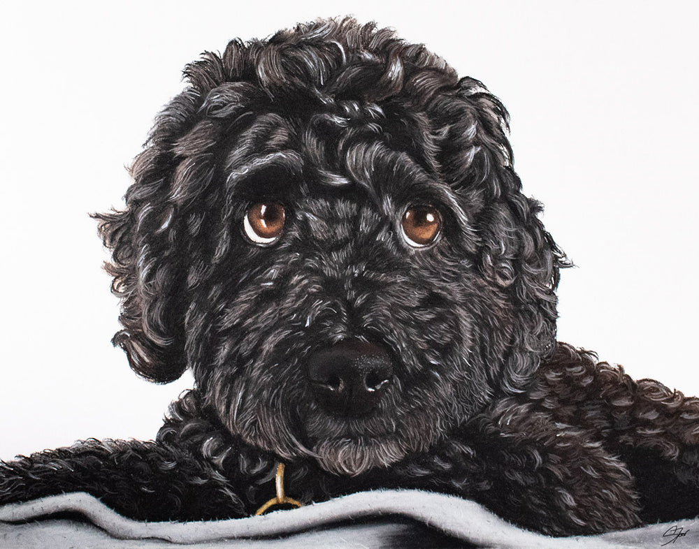 Gallery – Art by Toor