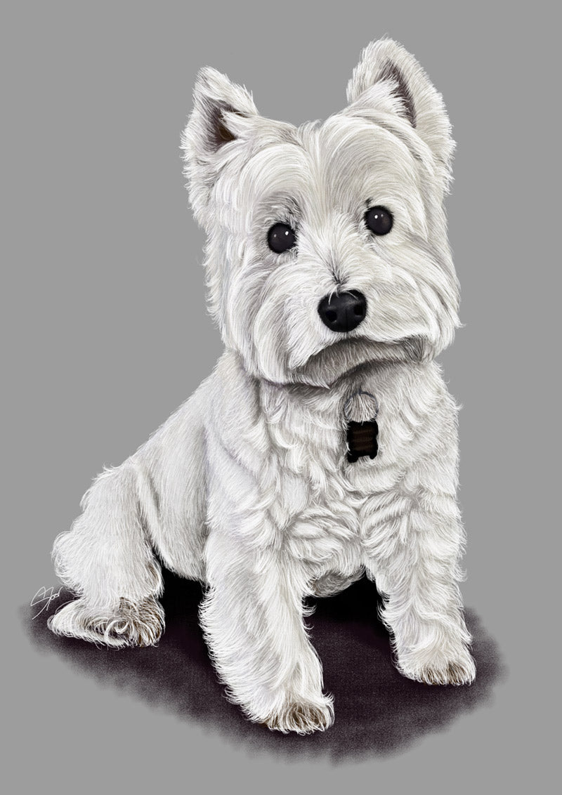 Gallery – Art by Toor
