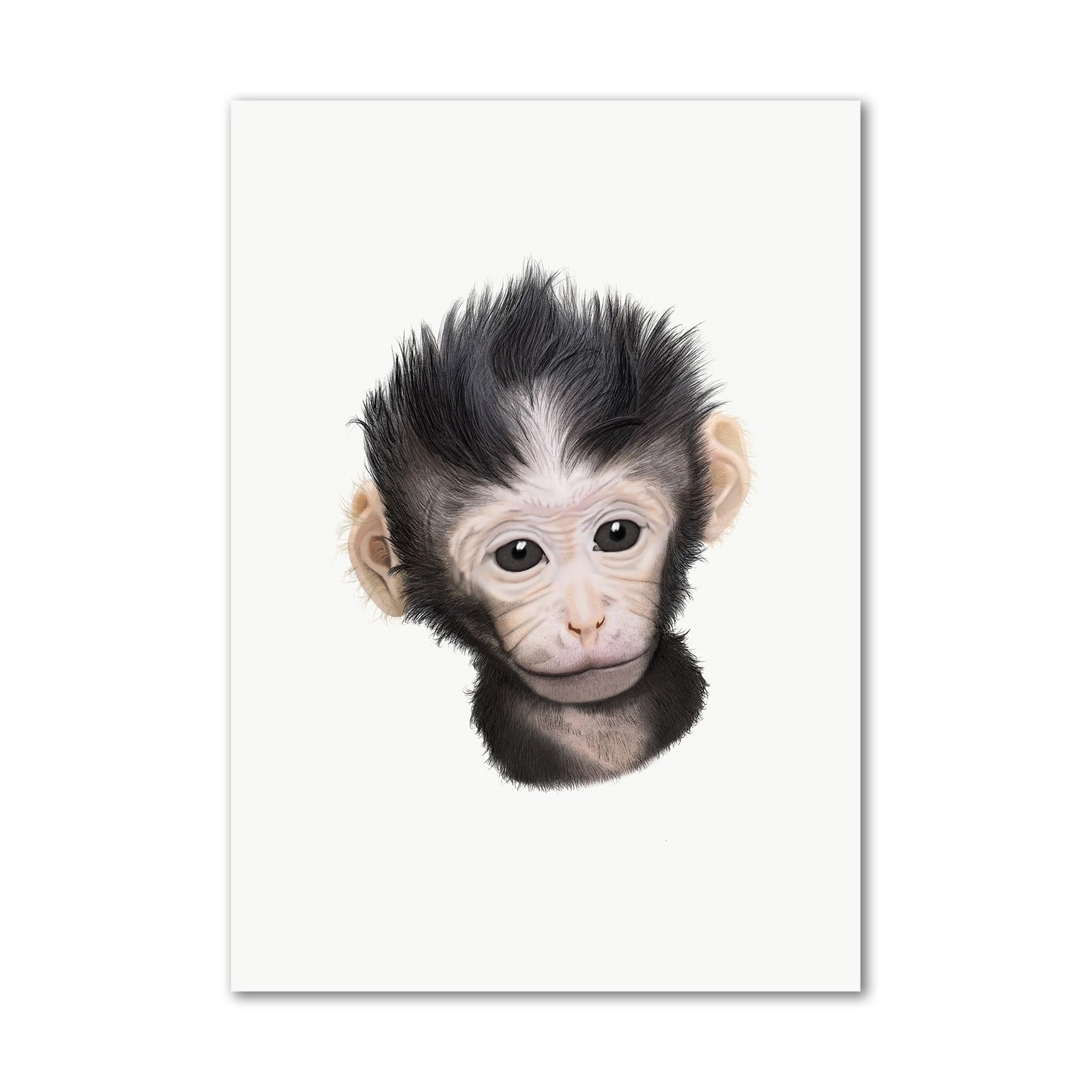 Baby Macaque Monkey Wall Art Print | Art By Toor | Perfect Gift for ...